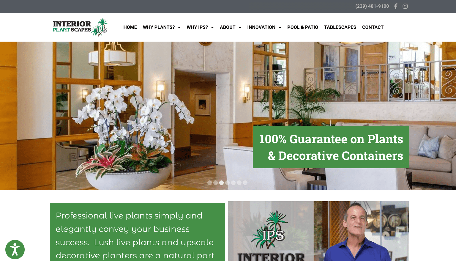 Top Interior Plant Design Companies Sarasota, Florida [2025]